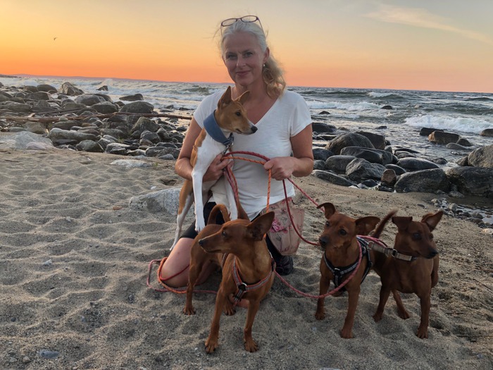 Kontakt :: www.seventhsense.se