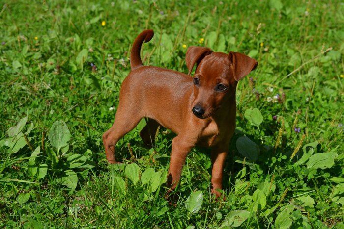 Valpar :: www.seventhsense.se